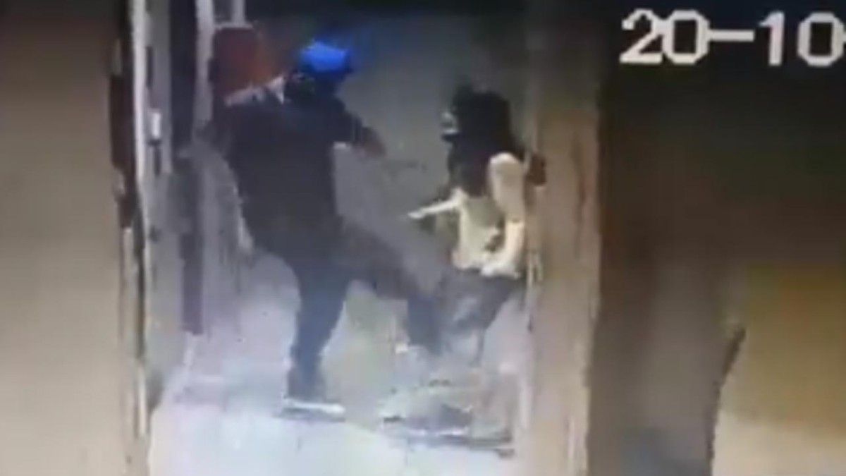 Horror: mató de una patada al perro guía de una mujer ciega